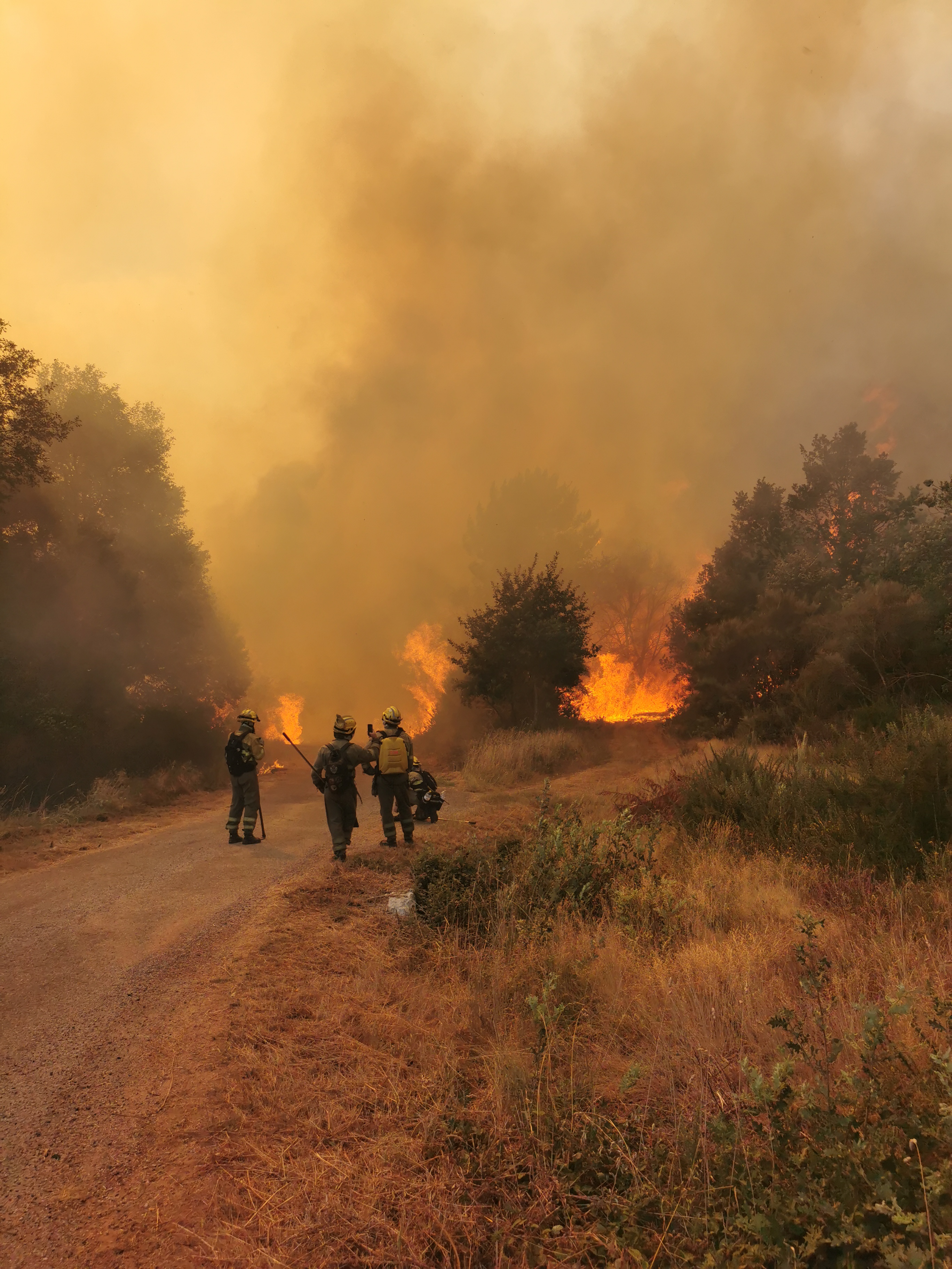 Analysis of summer 2022 wildfires blast in Folgoso do Courel, Spain